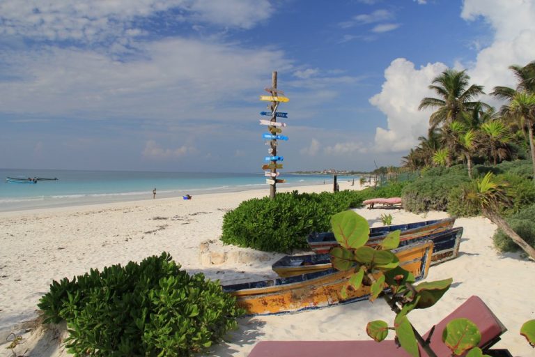 Tulum Now - Tulum Things to Do in Real Time Entertainment Guide